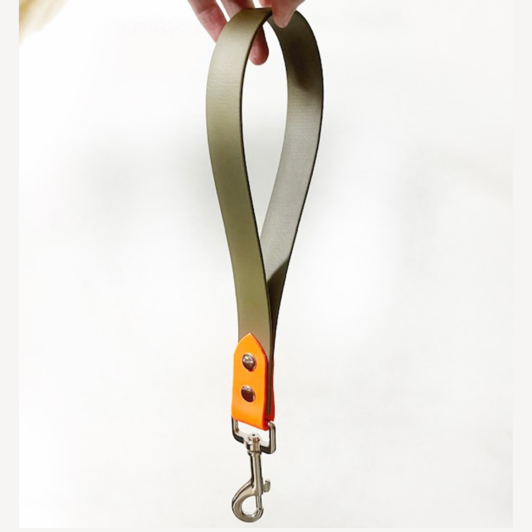 Biothane Traffic Lead – pawtyco